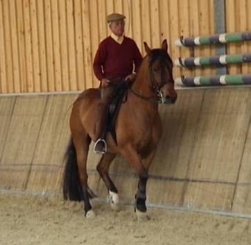 Trio-Classico klassisch -iberische Reitkunst