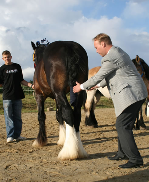 Trio-Classico klassisch -iberische Reitkunst